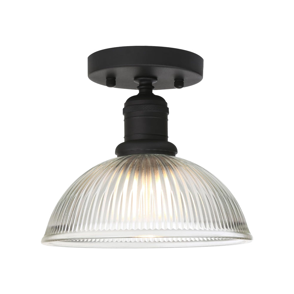 1 Light led light black light bulb glass shade, metal base ceiling lig ...